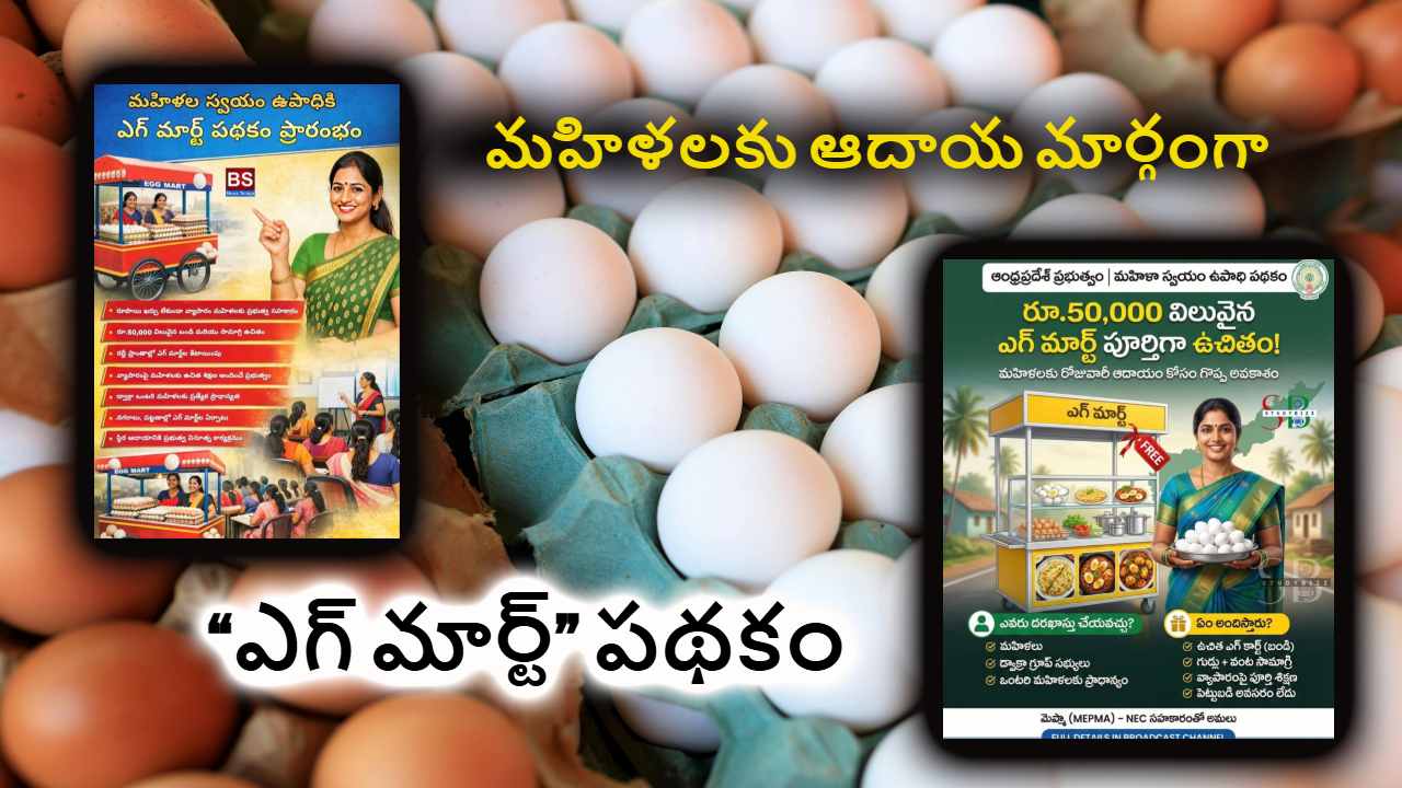 మహిళలకు ఆదాయ మార్గంగా “ఎగ్ మార్ట్” పథకం - Today Digital Times